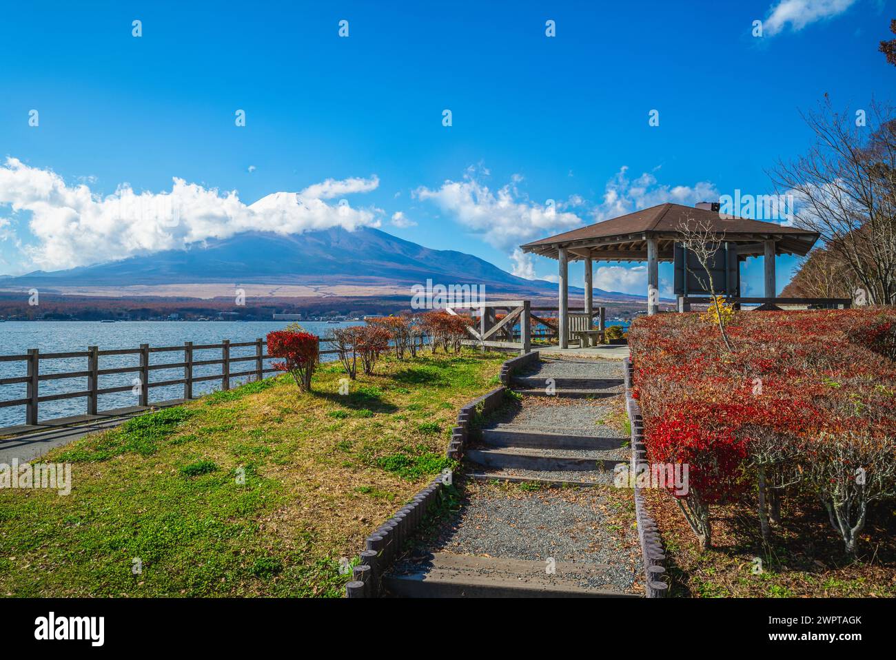 Yamanashi forest hi-res stock photography and images - Alamy