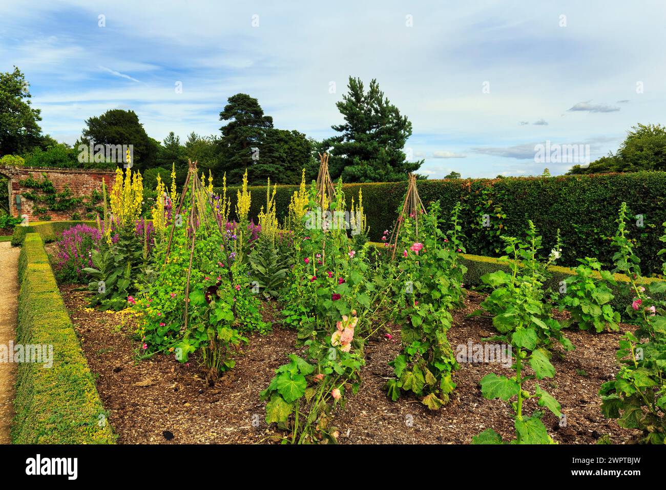 Down House Garden, garden at the home of the British naturalist Charles ...