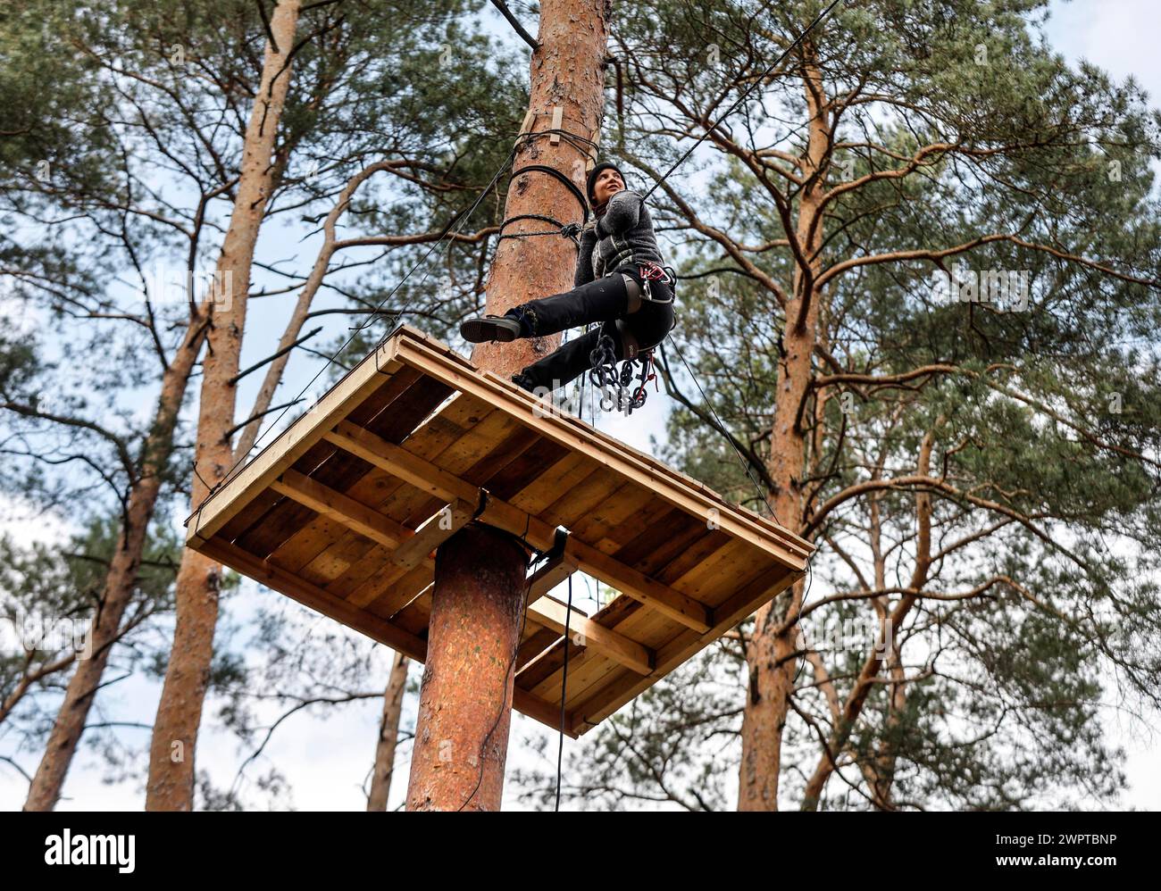 Climate activists build more tree houses in Gruenheide forest. The ...