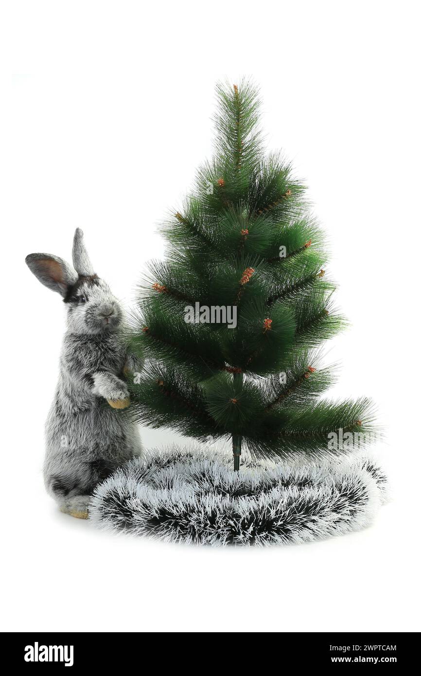 Adorable Christmas rabbits under the tree isolated on white background ...