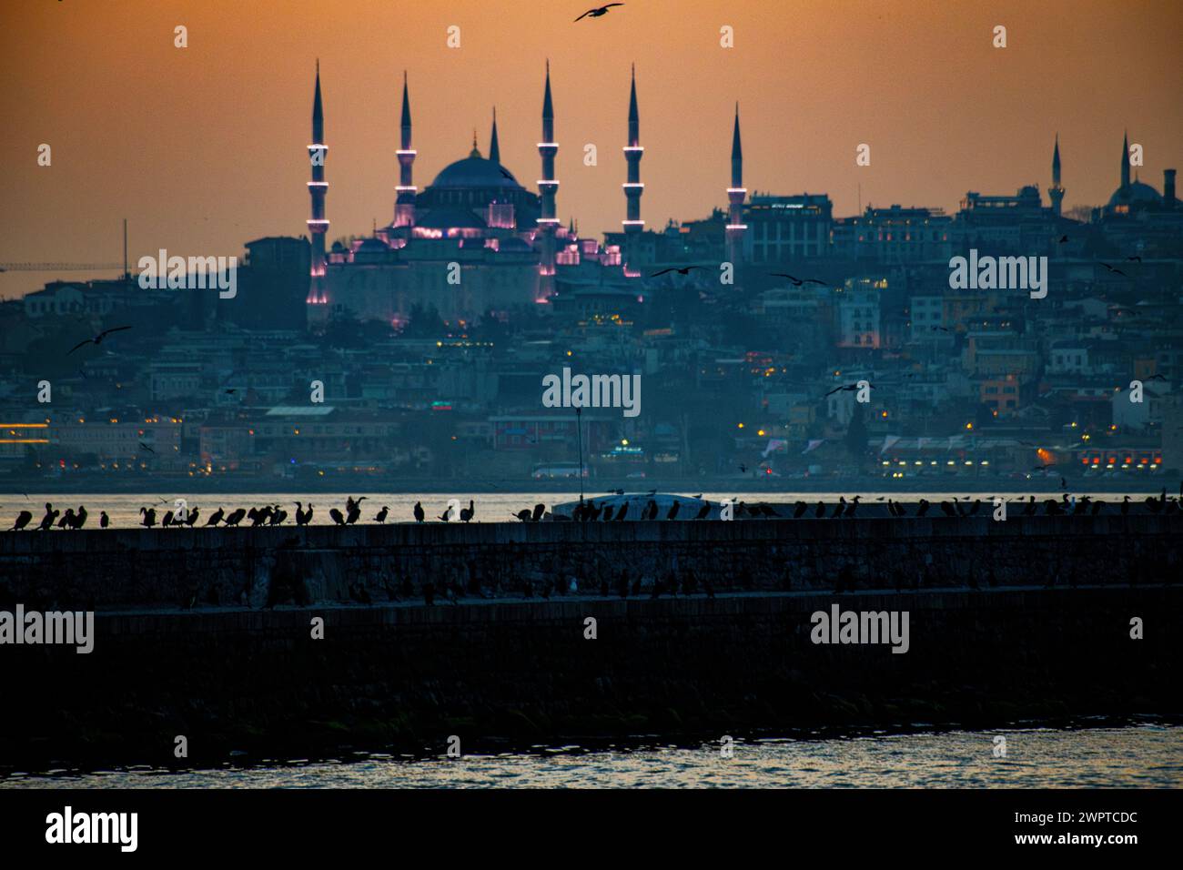 The Blue mosque (Sultan Ahmed Mosque) and Hagia Sophia (Grand Mosque ...