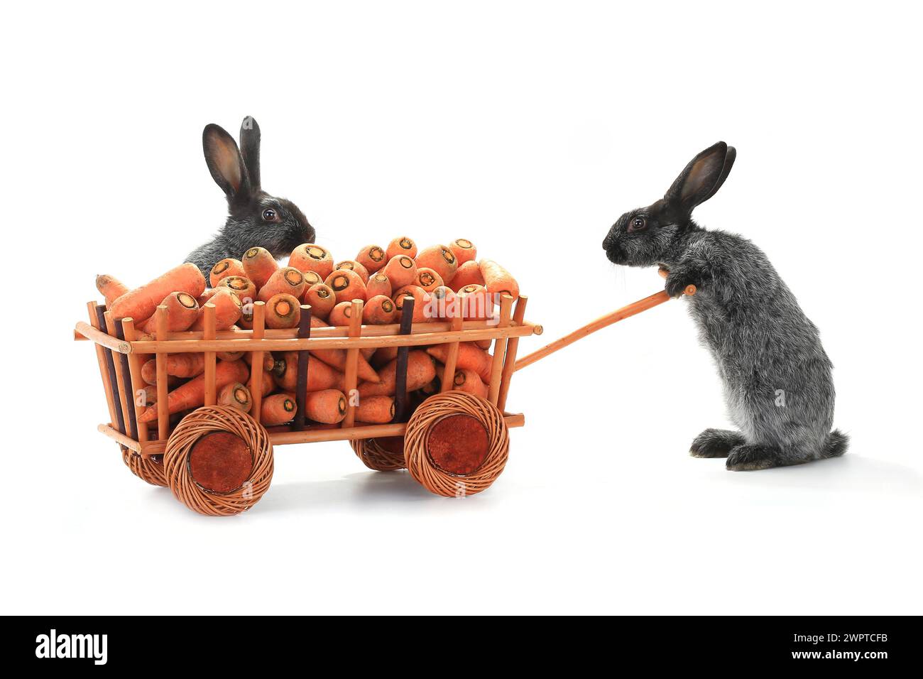 Free carrots Cut Out Stock Images & Pictures - Alamy