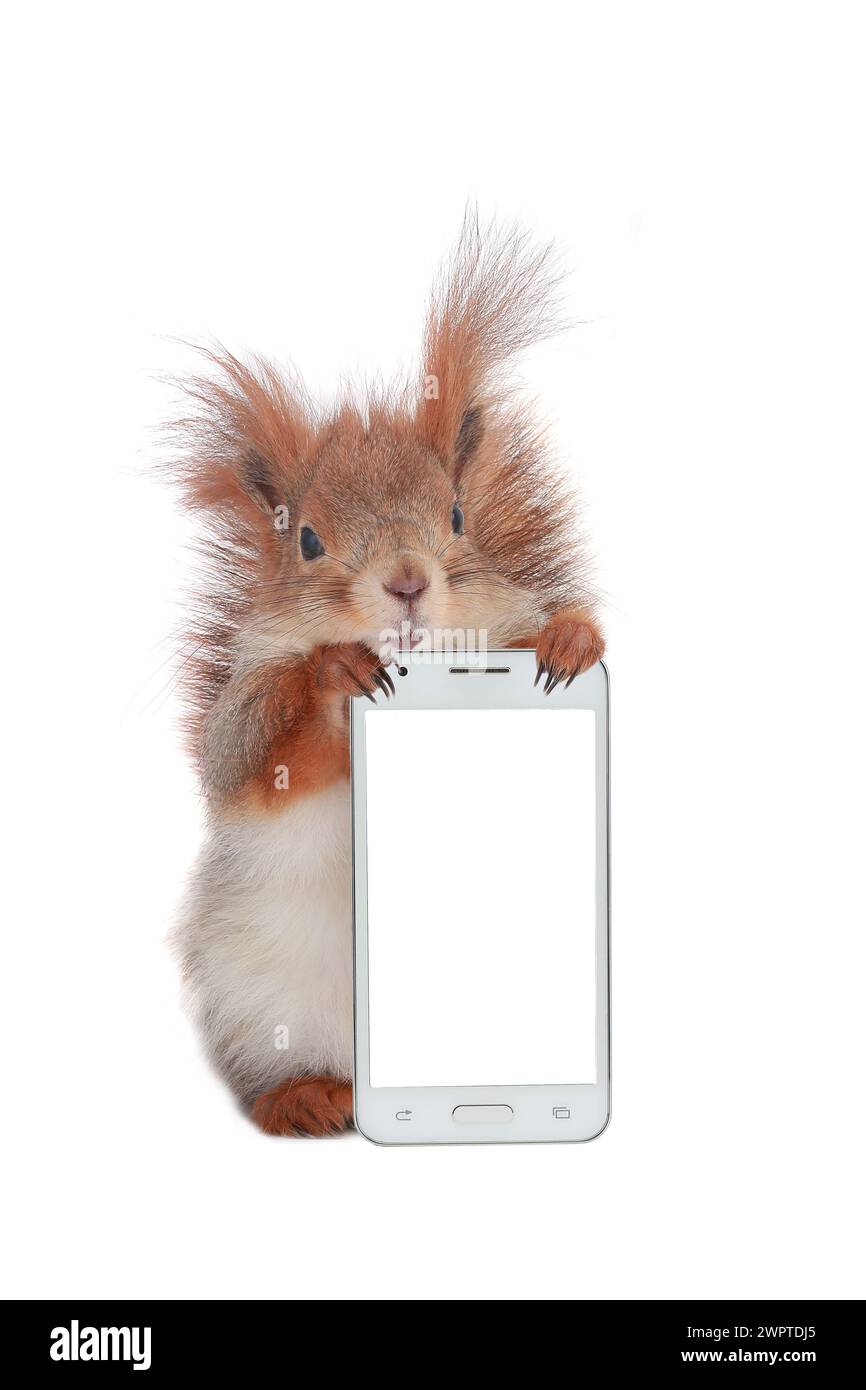 Human squirrel Cut Out Stock Images & Pictures - Alamy