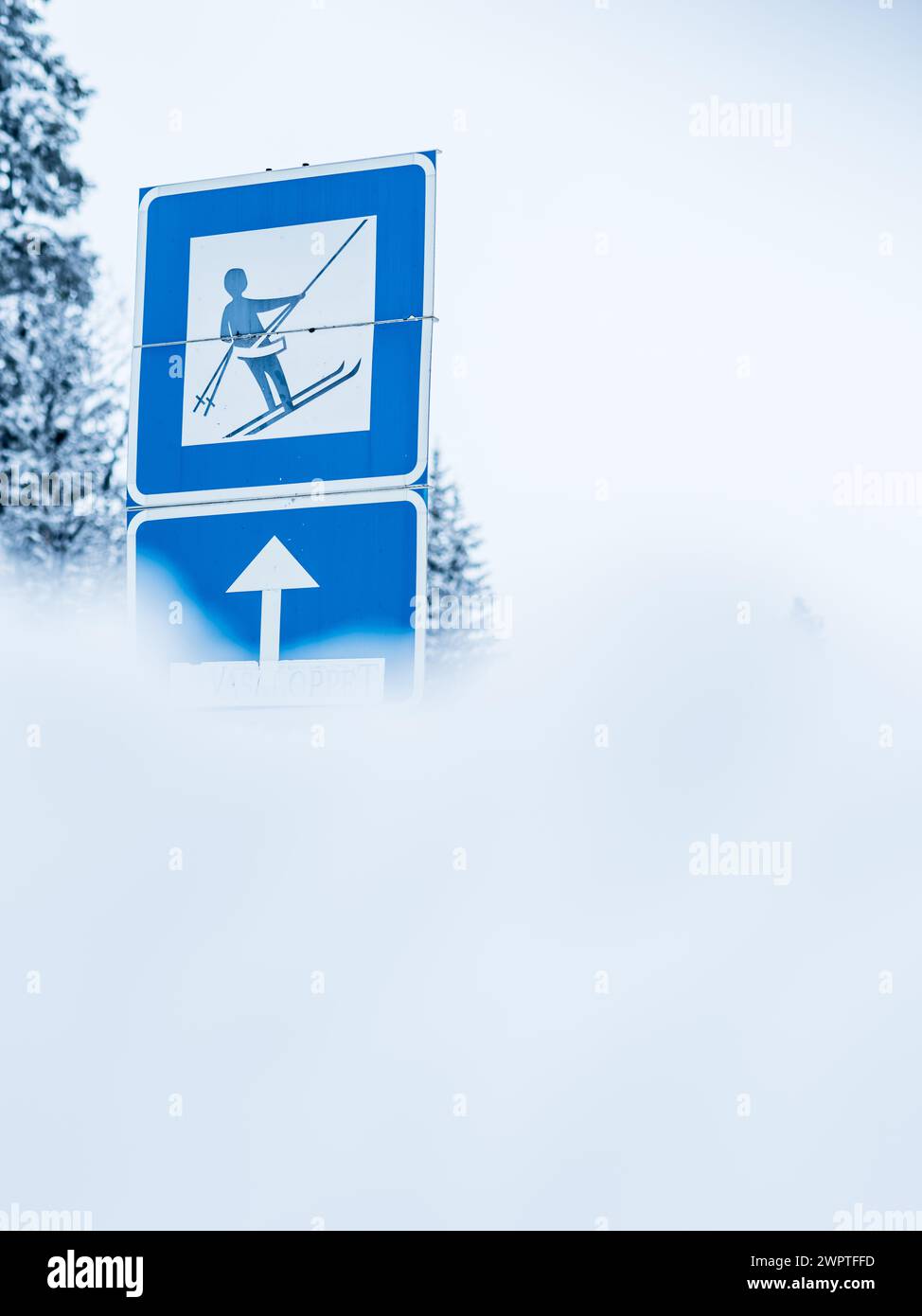A blue and white road sign featuring a skier symbol, indicating the ...