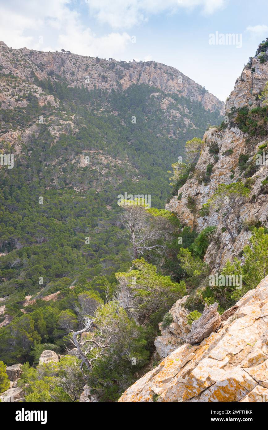 Mountain landscape with steeply rising rock faces and dense woodland ...