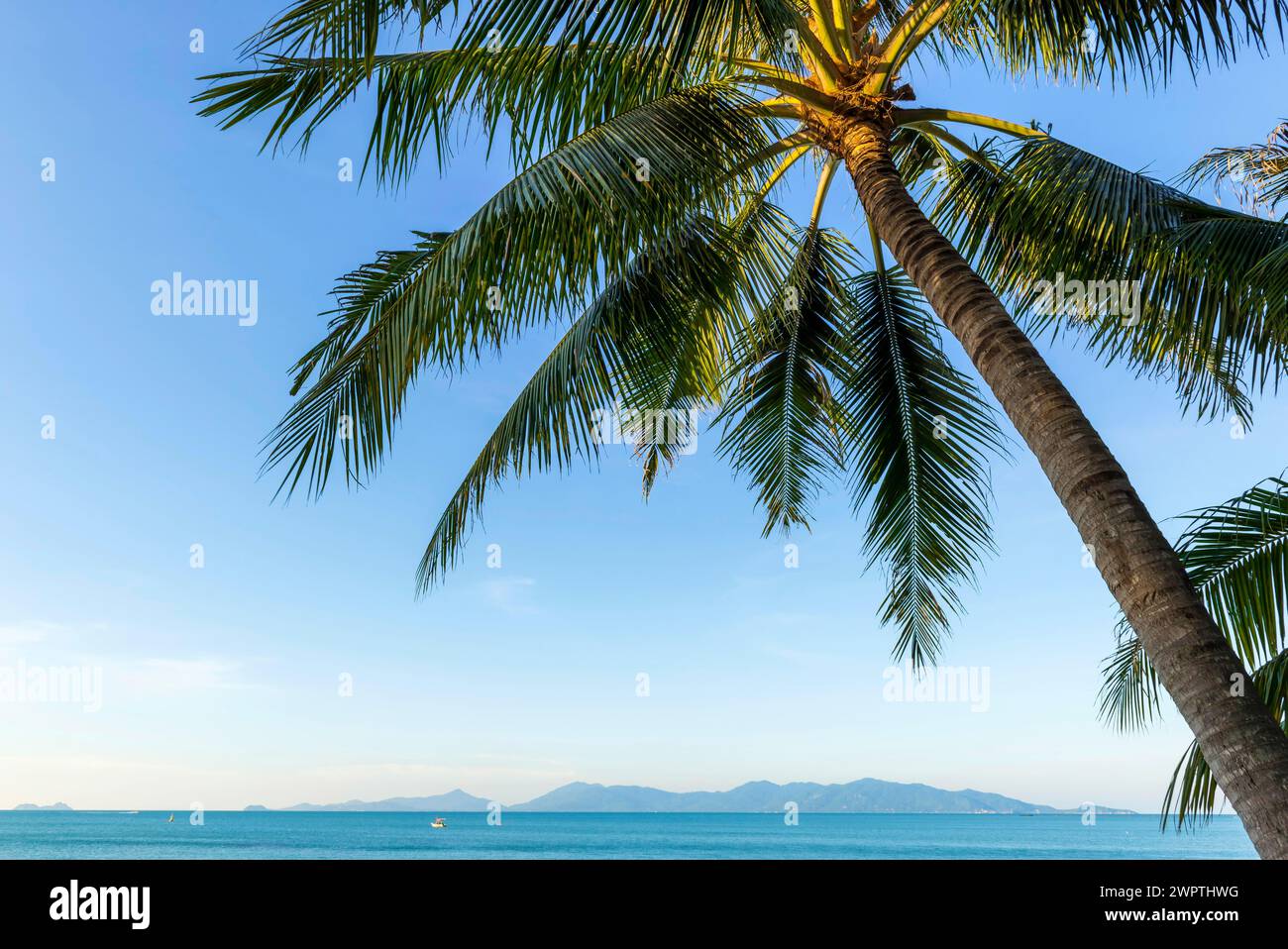 Mae symbol hi-res stock photography and images - Alamy