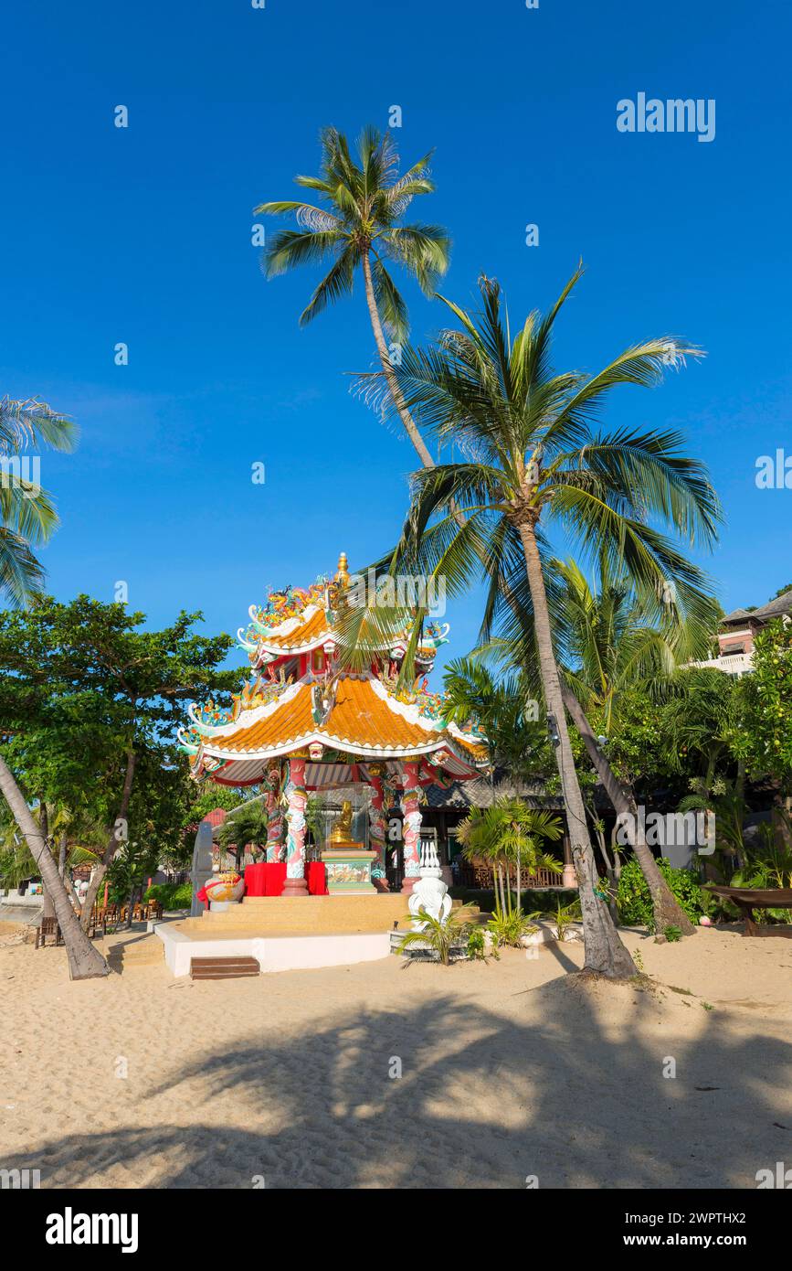 Buddhist temple at Maenam Beach, beach, sea, religion, temple complex, Buddhism, sacred ...