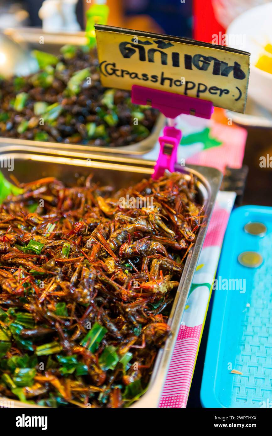 Roasted grasshoppers at the evening market in Krabi, food, nutrition ...
