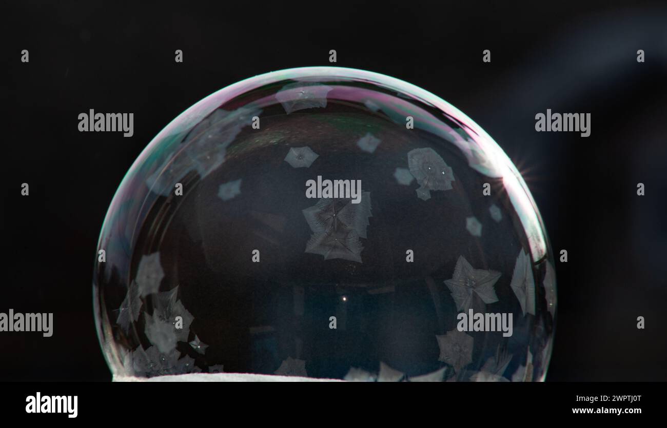 Winter collage. A transparent soap bubble freezing in the cold on a ...
