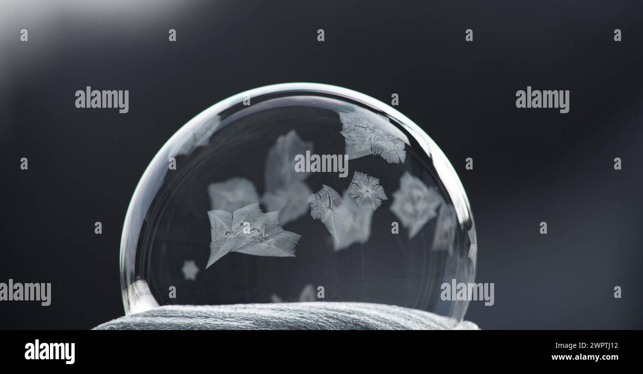 Winter collage. A transparent soap bubble freezing in the cold on a ...