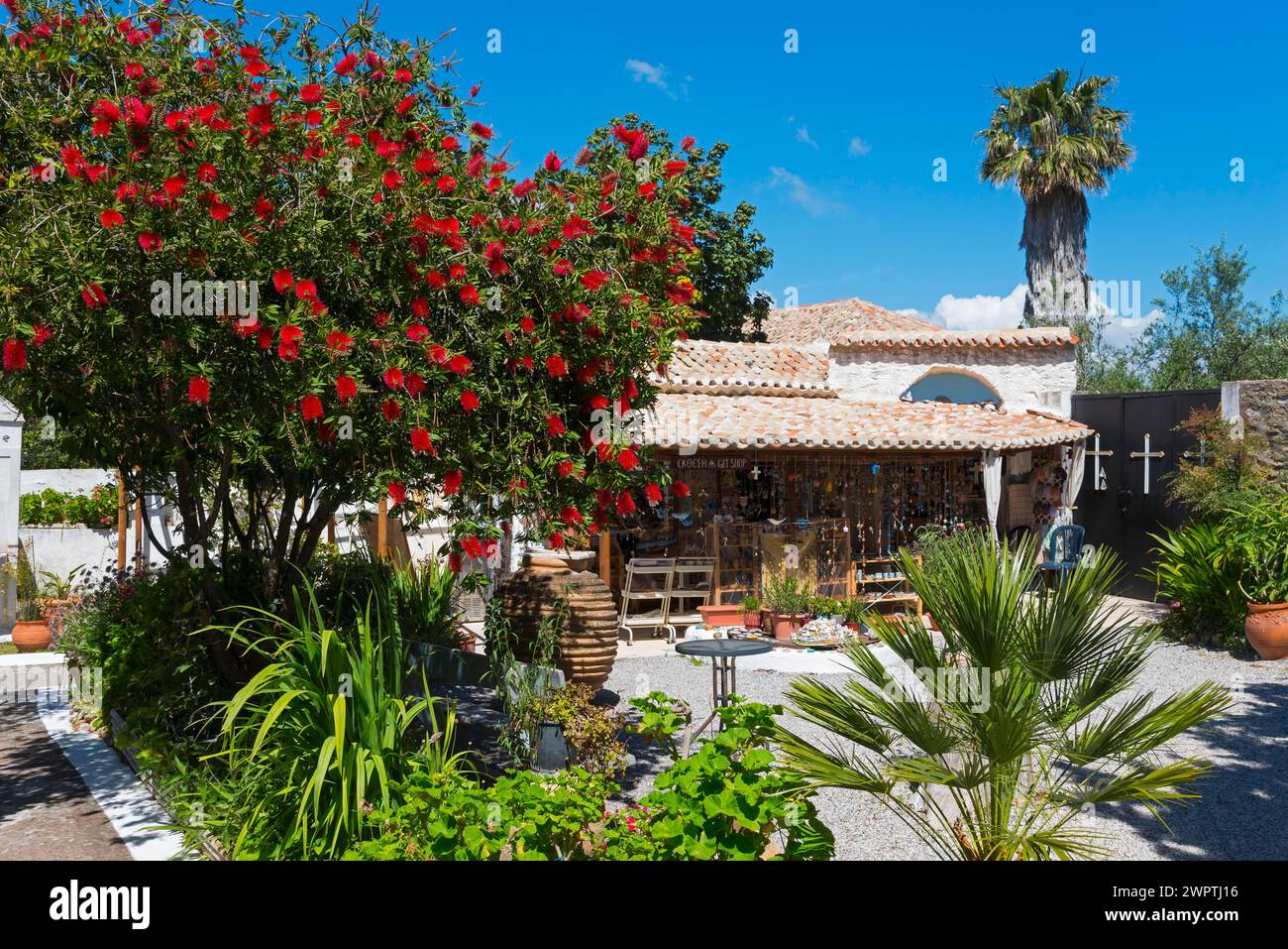 Inviting Mediterranean-style restaurant, surrounded by flowers and palm ...