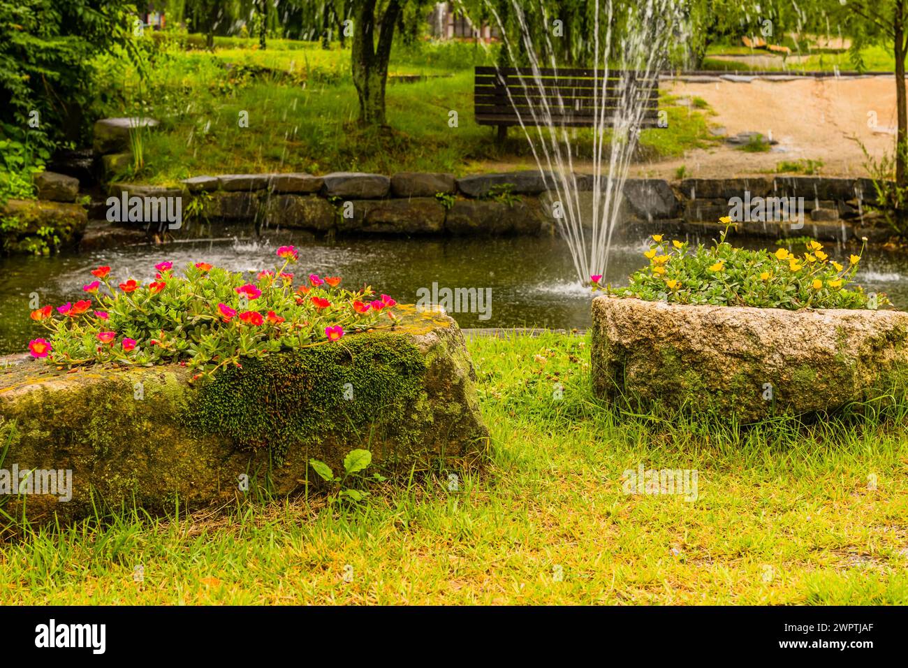 A tranquil garden scene with a fountain surrounded by red flowers and ...