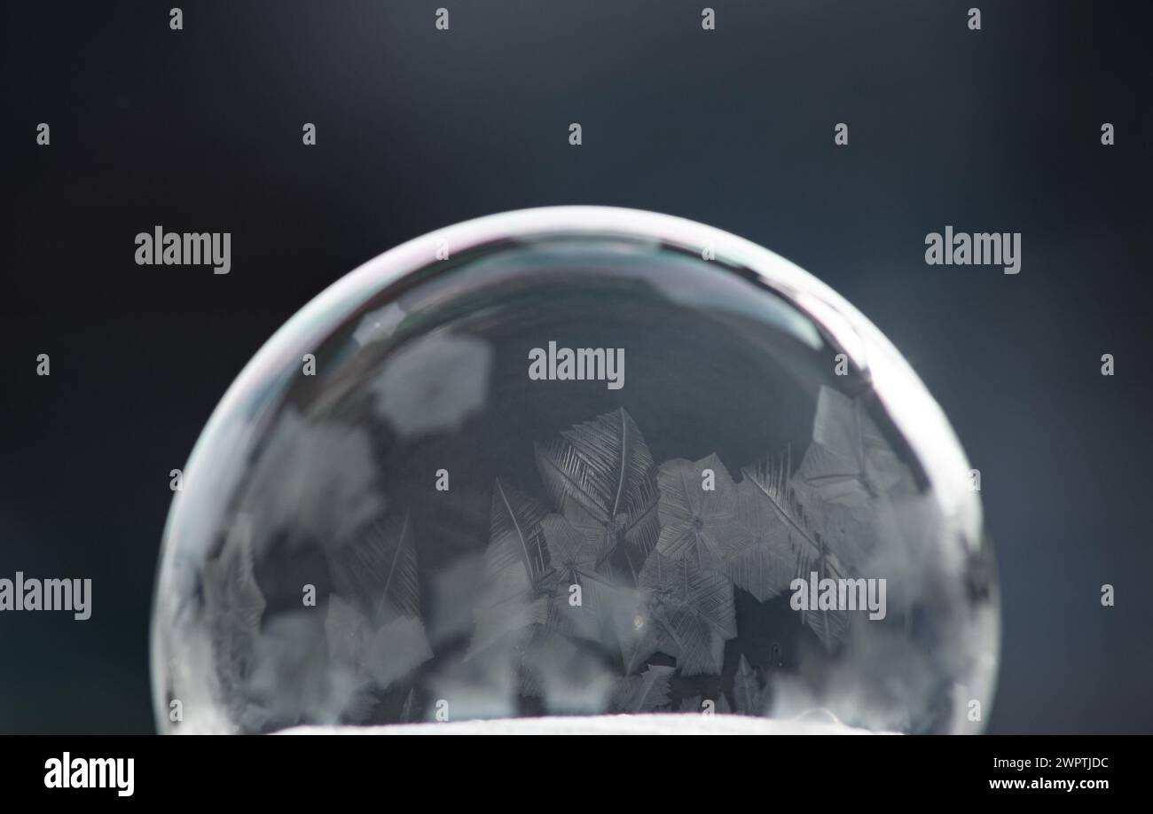 Winter collage. A transparent soap bubble freezing in the cold on a ...
