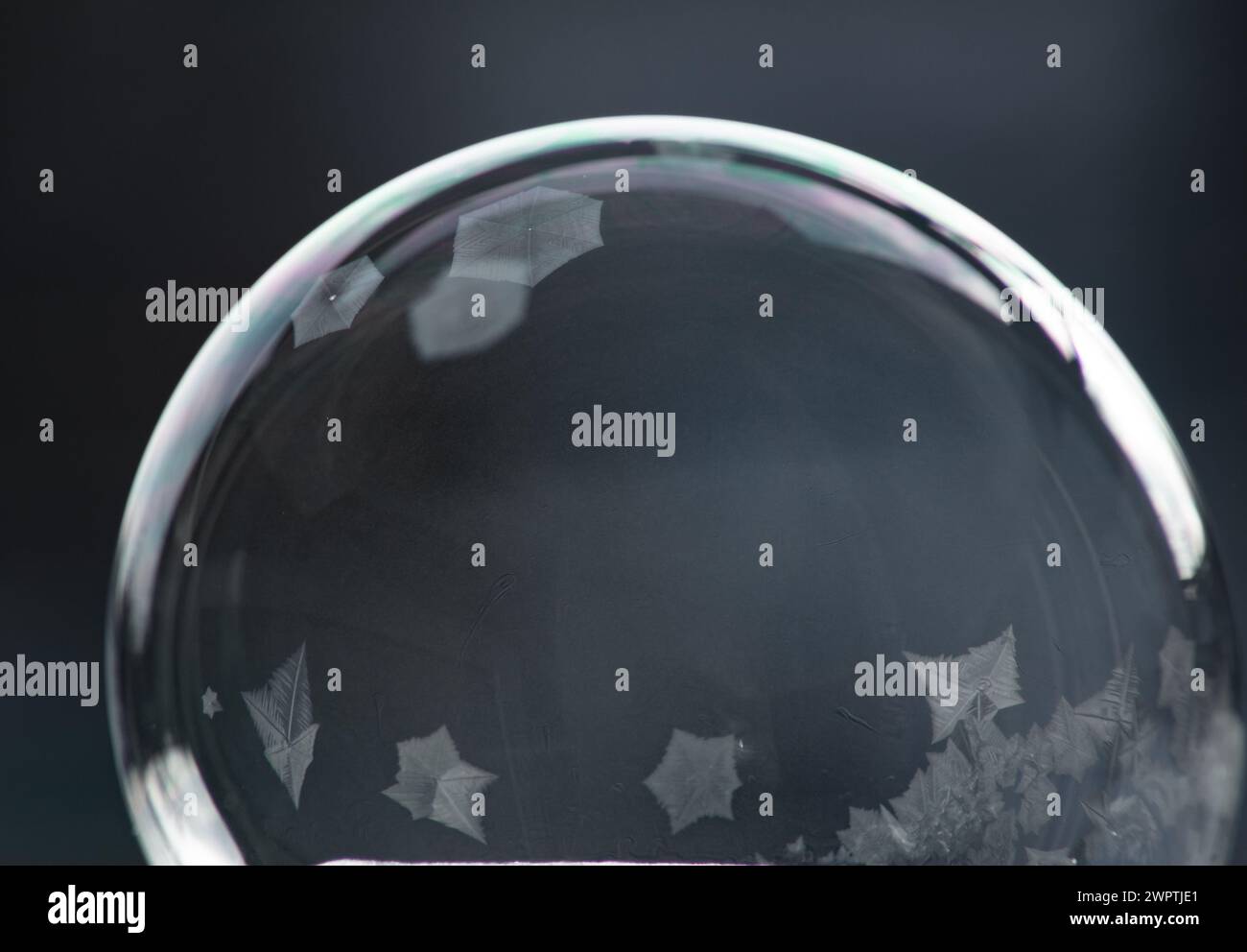 Winter collage. A transparent soap bubble freezing in the cold on a ...