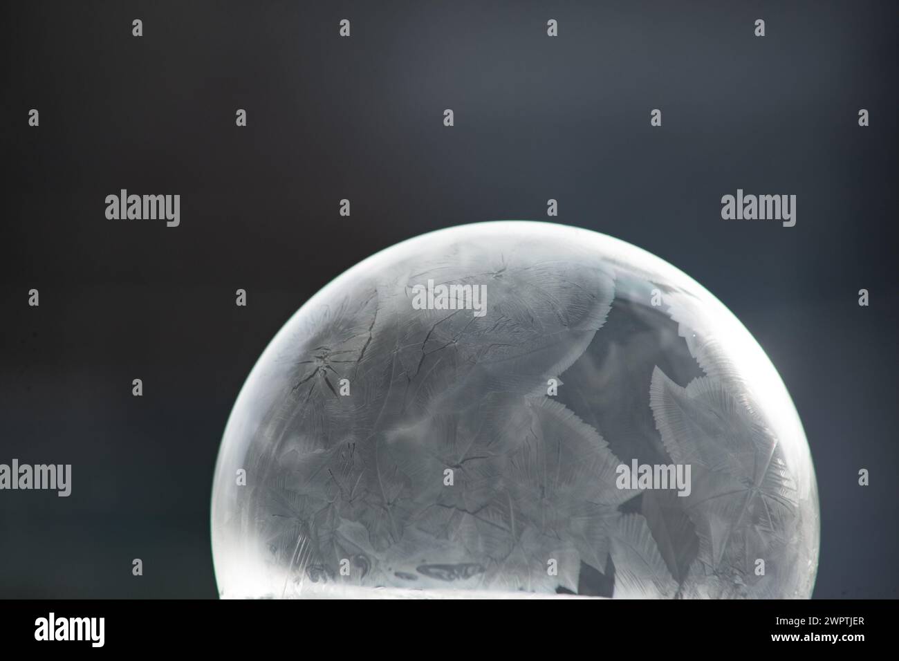 Winter collage. A transparent soap bubble freezing in the cold on a ...