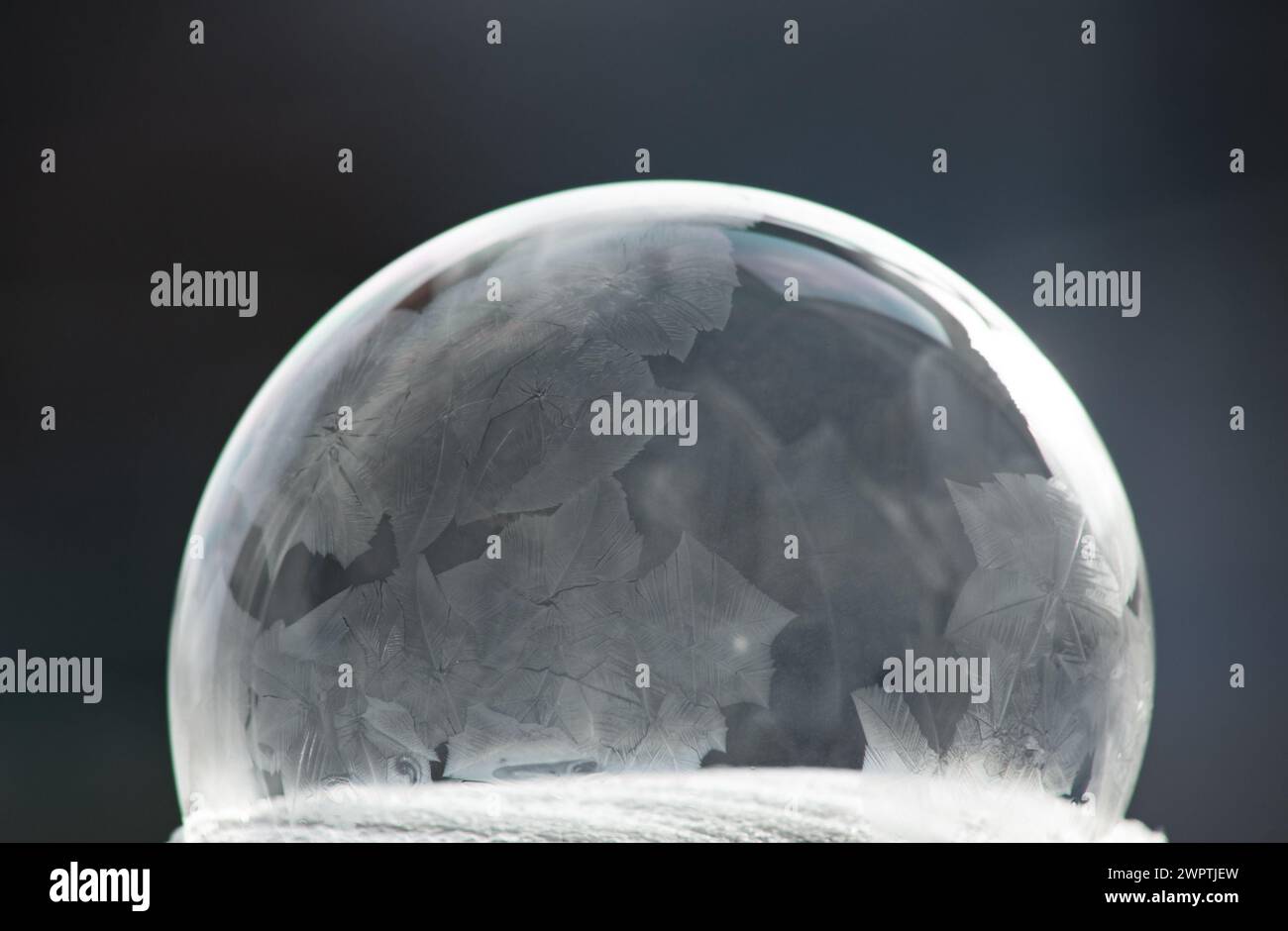 Winter collage. A transparent soap bubble freezing in the cold on a ...
