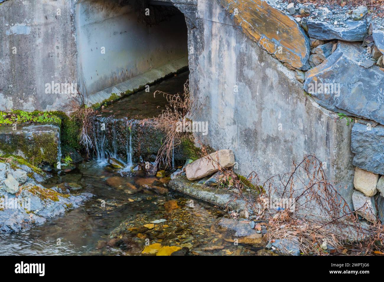 A small stream runs through rocks under a concrete culvert with moss ...