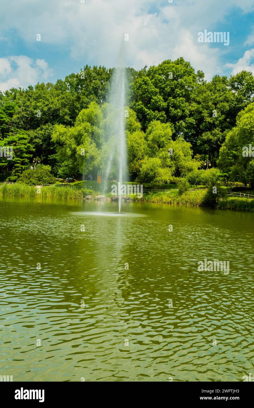 Vertical jet of water from a fountain in a serene pond surrounded by ...