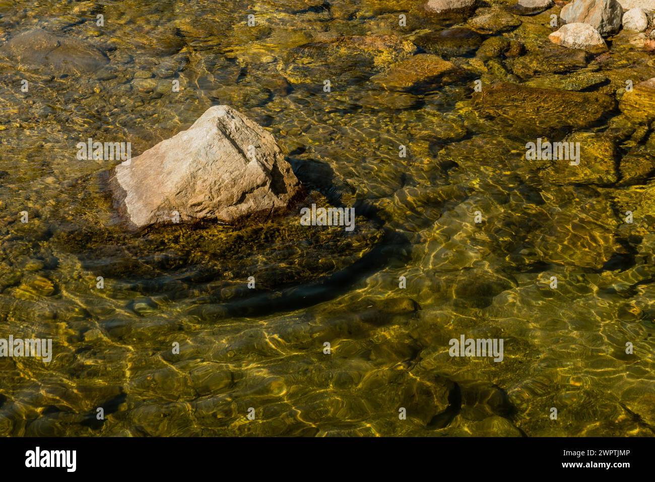 Sunlight reveals a clear riverbed with submerged rock, in South Korea ...