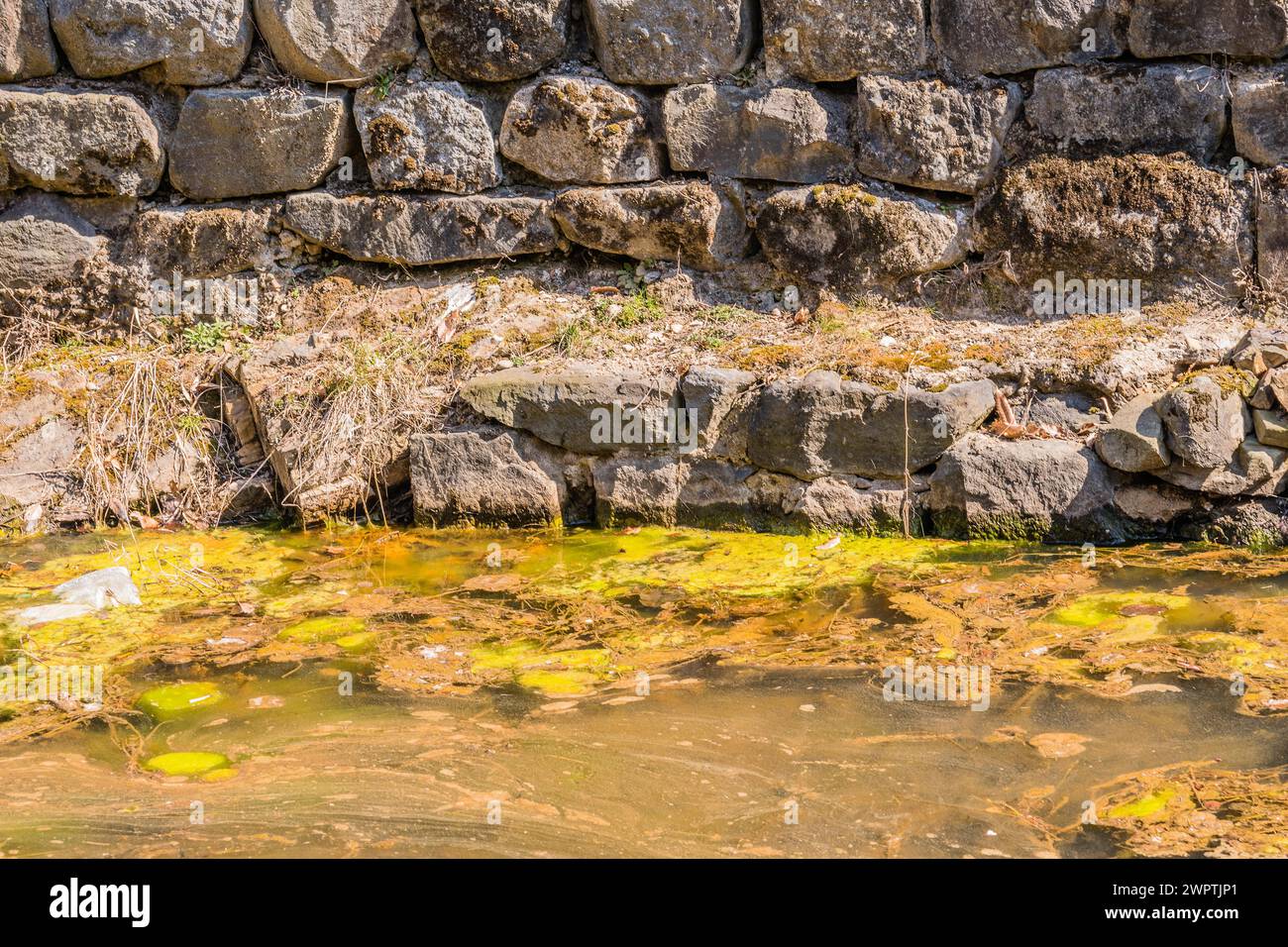 Textured stone wall beside algae-covered water, reflecting sunlight, in ...