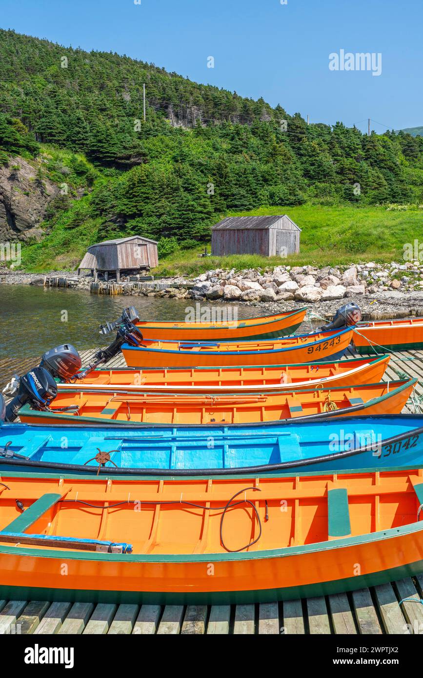 Colourful motorboats in the harbour of the fishing village of Lark ...