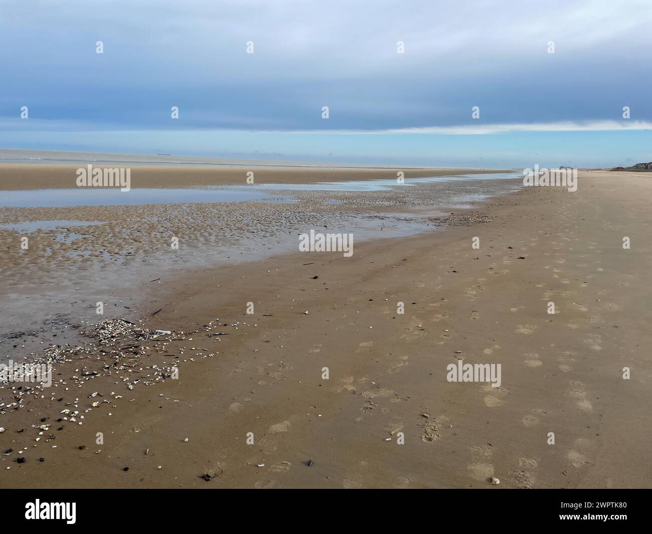 Wide, open beach with puddles of water and a cloudy sky, DeHaan ...