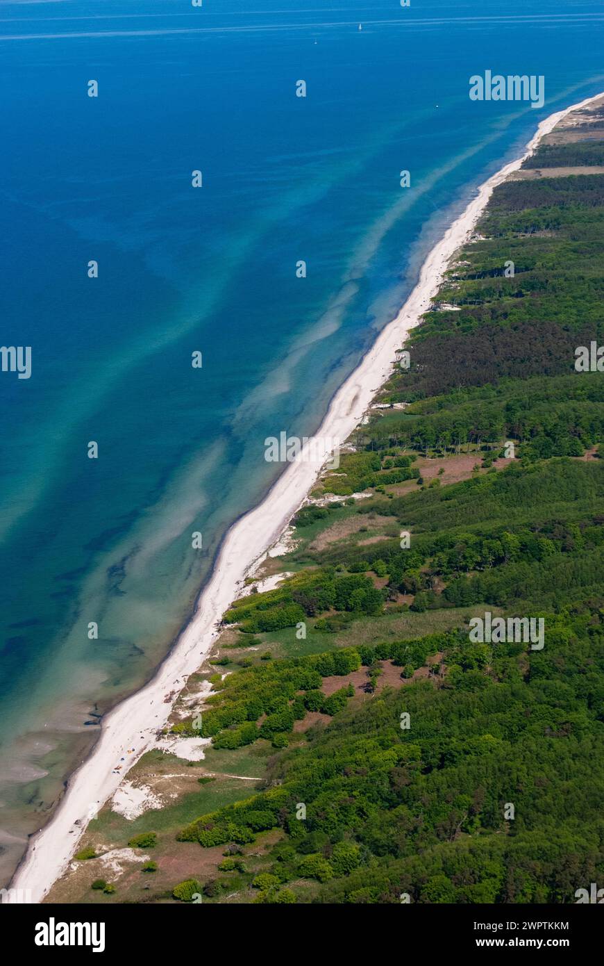 Aerial view, Fischland, Darss, Zingst, steep coast, ablation coast ...