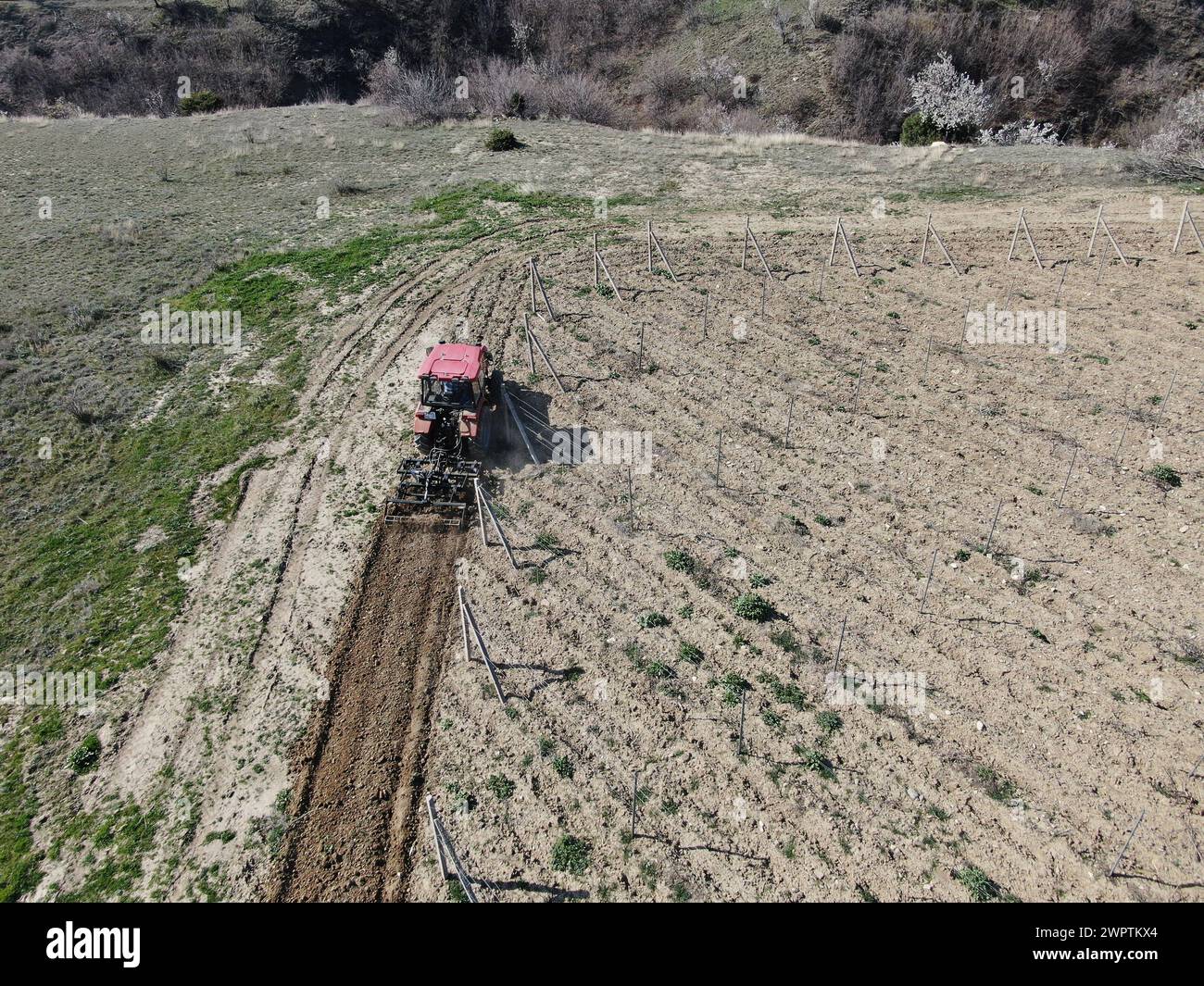 A tractor plows a strip of land around a field with small grape ...