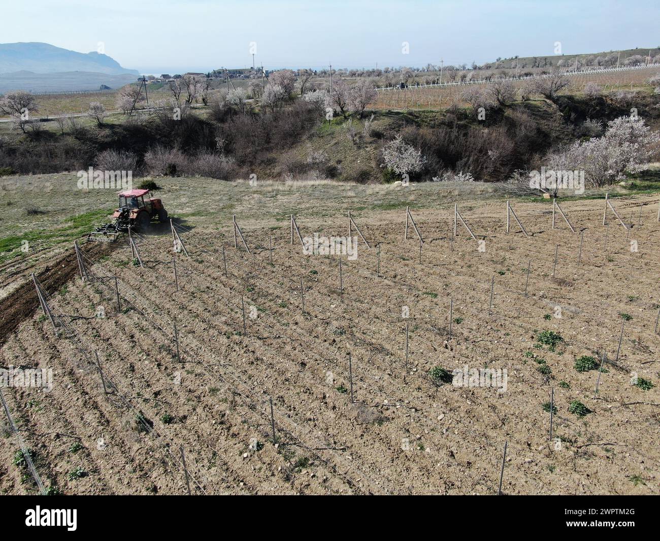 A tractor plows a strip of land around a field with small grape ...