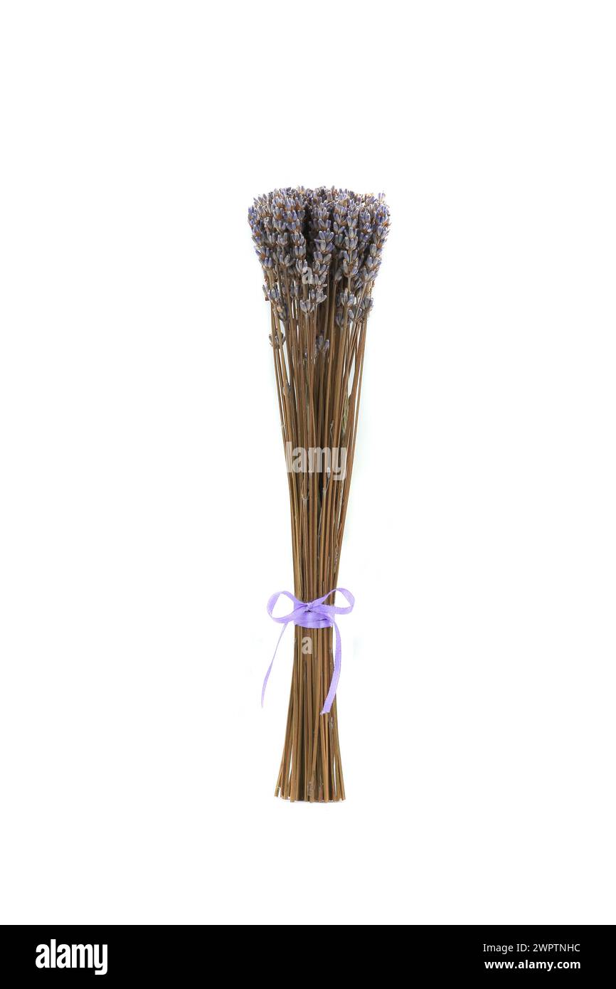 Linking of dry flowers of a lavender on a white background Stock Photo ...