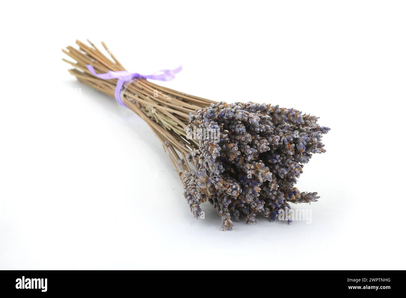 Linking of dry flowers of a lavender on a white background Stock Photo ...