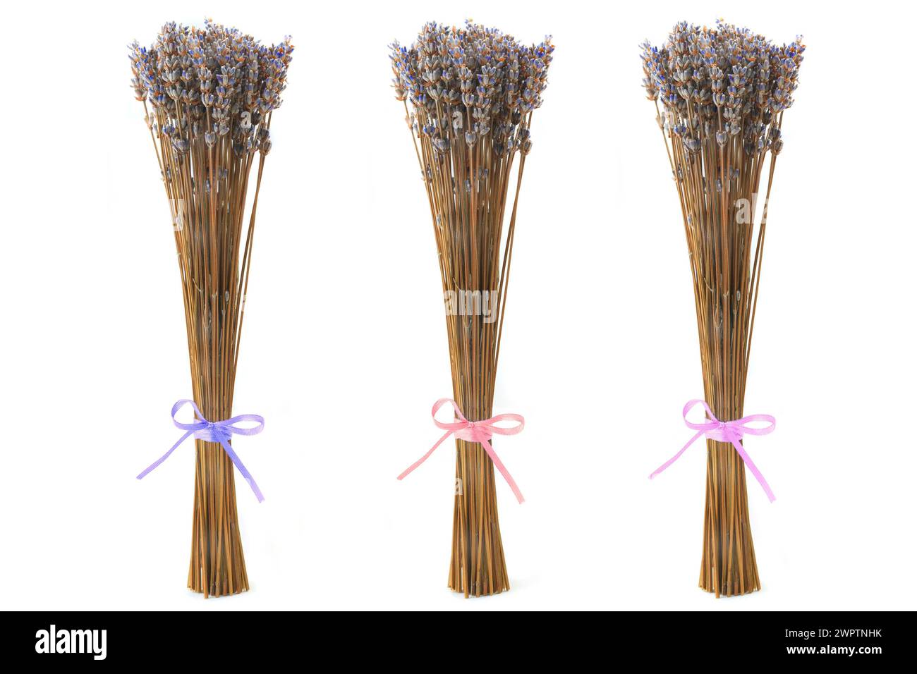 Linking of dry flowers of a lavender on a white background Stock Photo ...