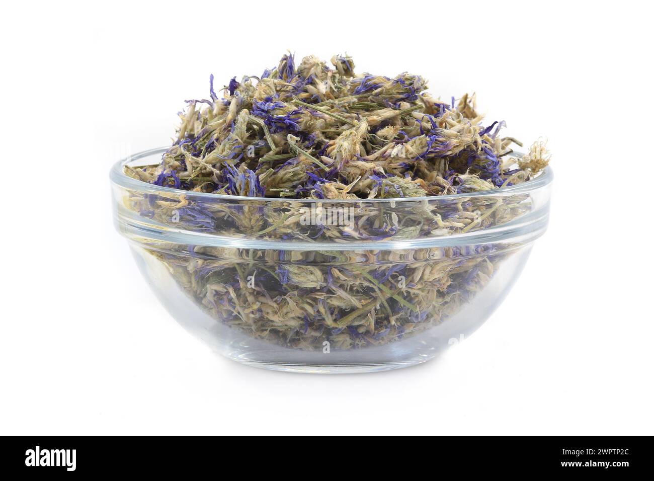 Clover in grass Cut Out Stock Images & Pictures - Alamy