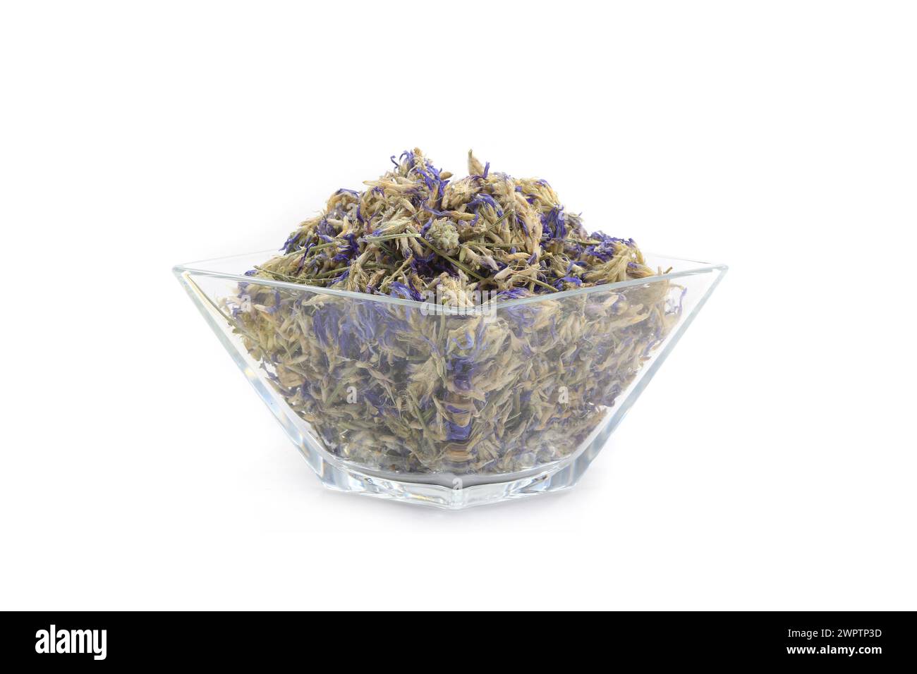 Clover in grass Cut Out Stock Images & Pictures - Alamy