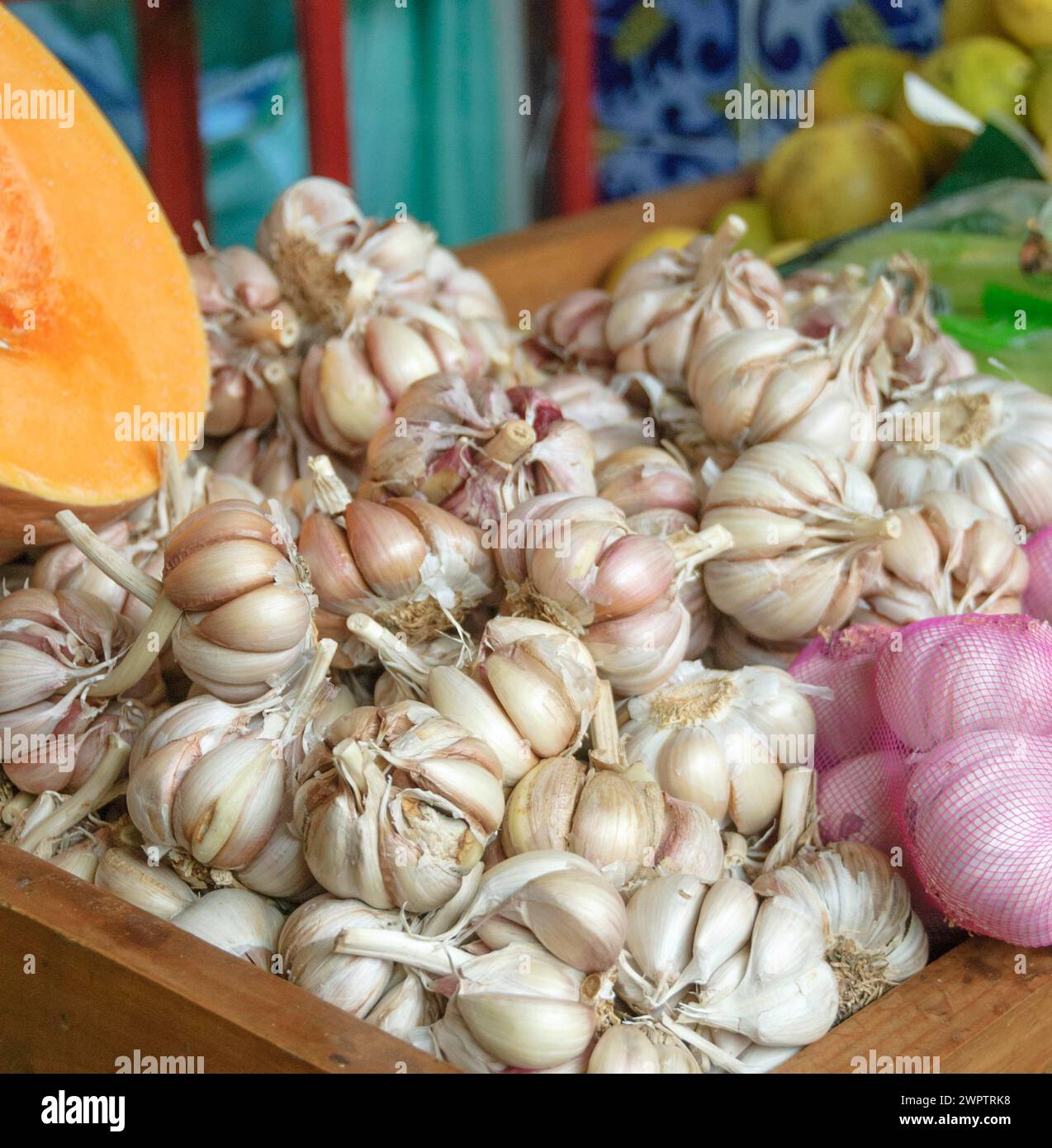 Garlic (Allium sativum), Cambridge Botanical Garden, 222 Stock Photo ...