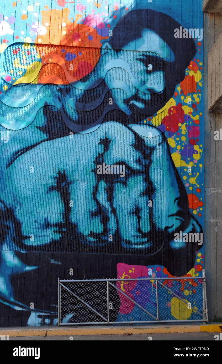 A colourful mural of boxer Muhammad Ali by artist Ashley Cathey ...