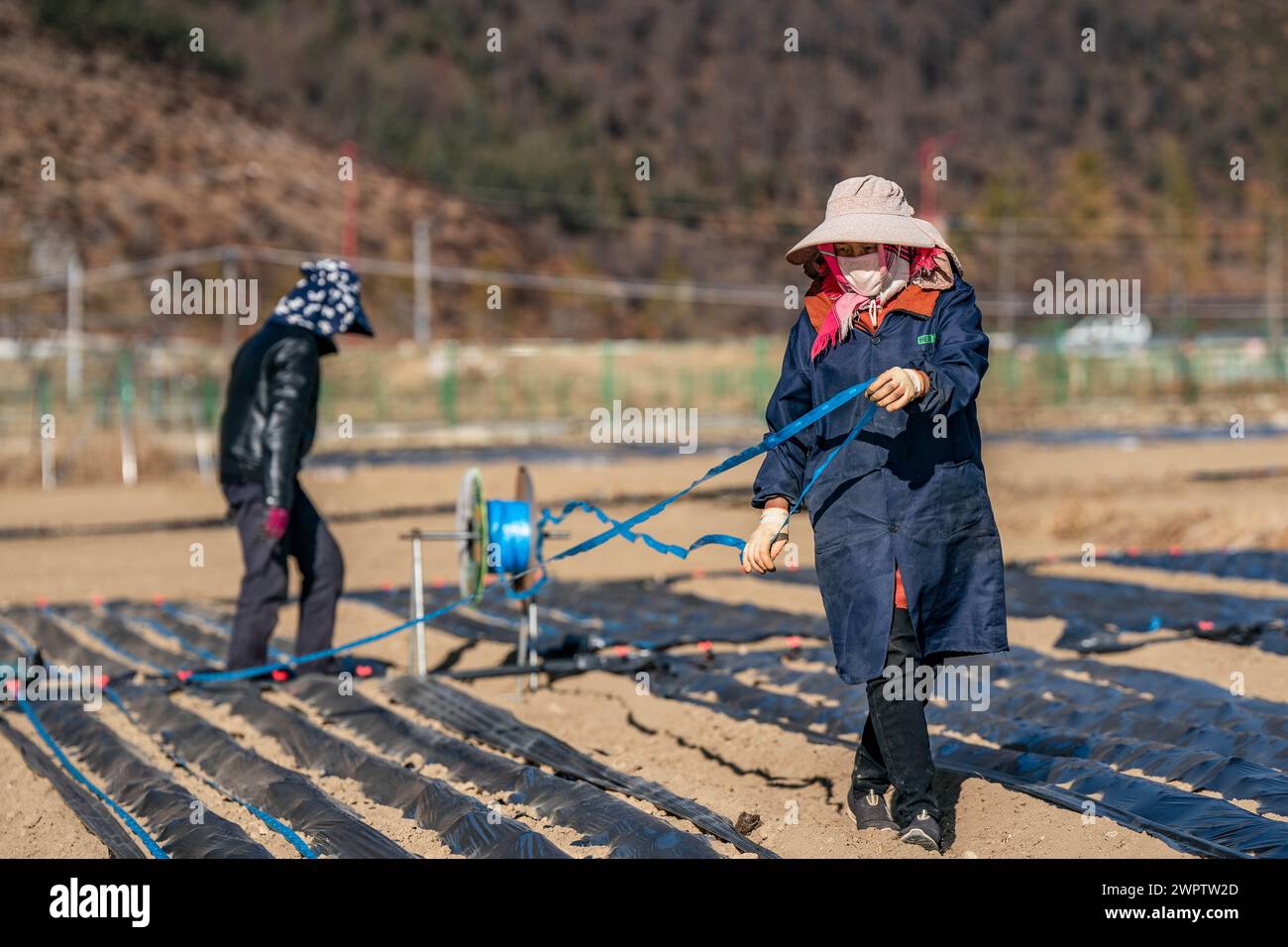 Shangri LA, USA. 9th Mar, 2024. Villagers work on a plateau farm in ...