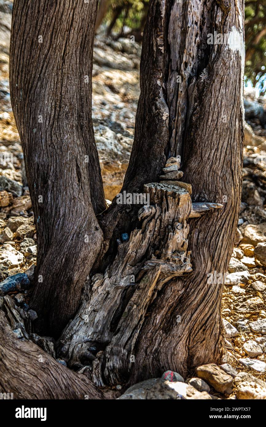 Tsambika Monastery, pilgrimage site for children with spectacular views ...