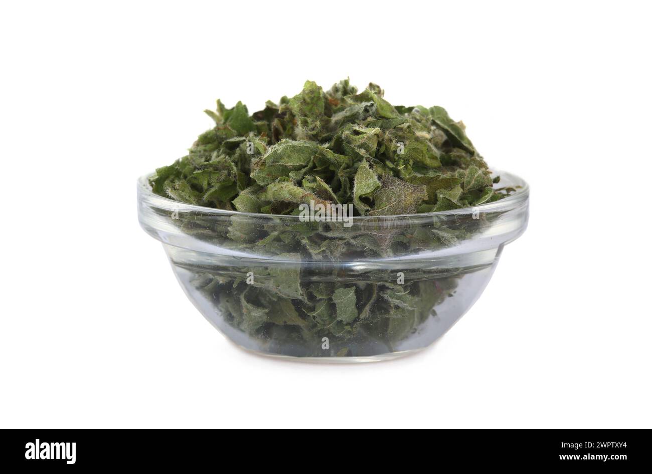 melissa isolated on white background Stock Photo - Alamy