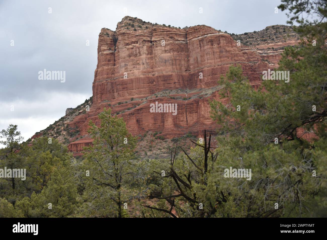 Sedona, AZ. U.S.A. 2/3/2024. Sedona Arizona is home to beautiful red ...