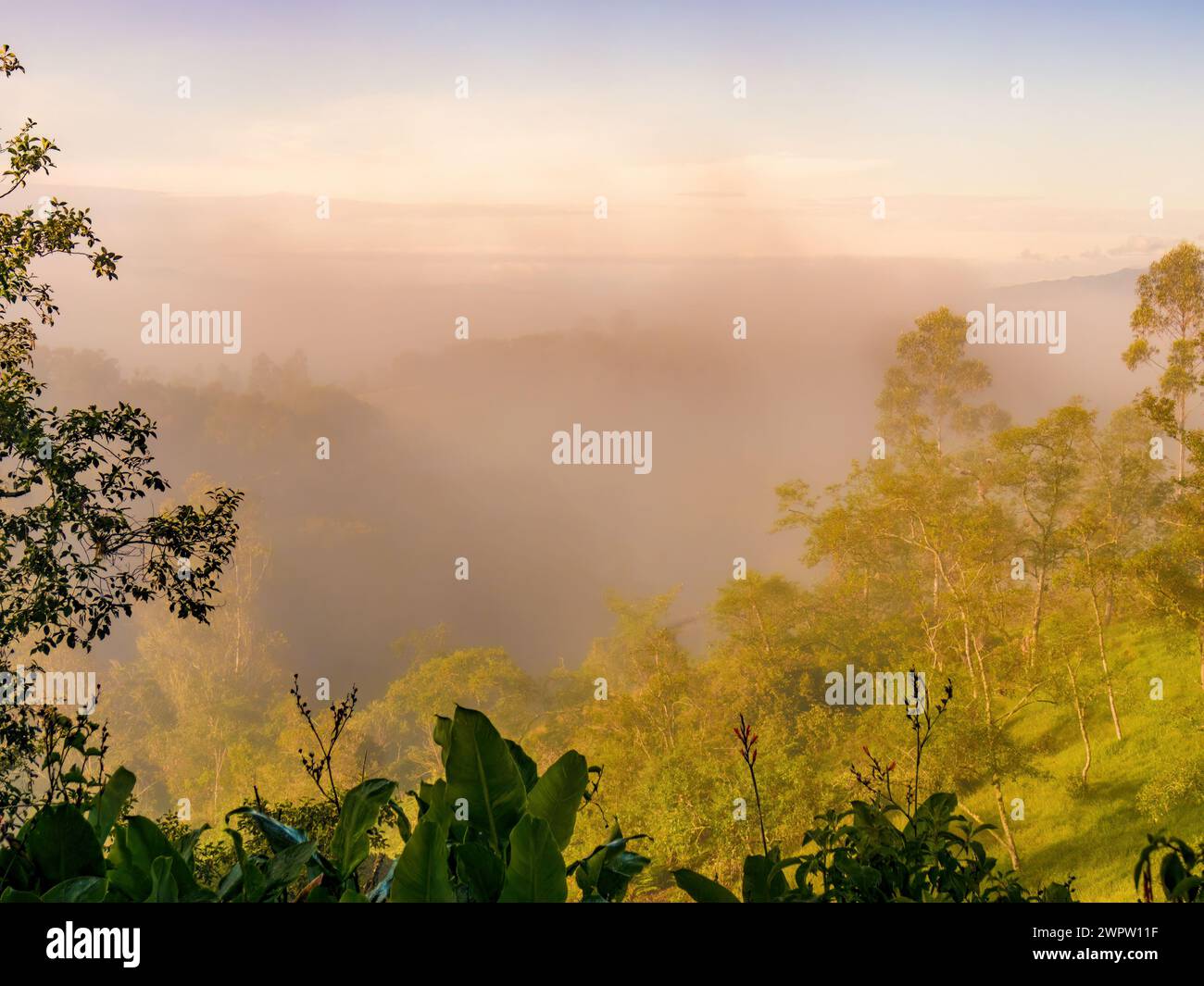 The forests and the hills of the eastern Andean mountains of central ...
