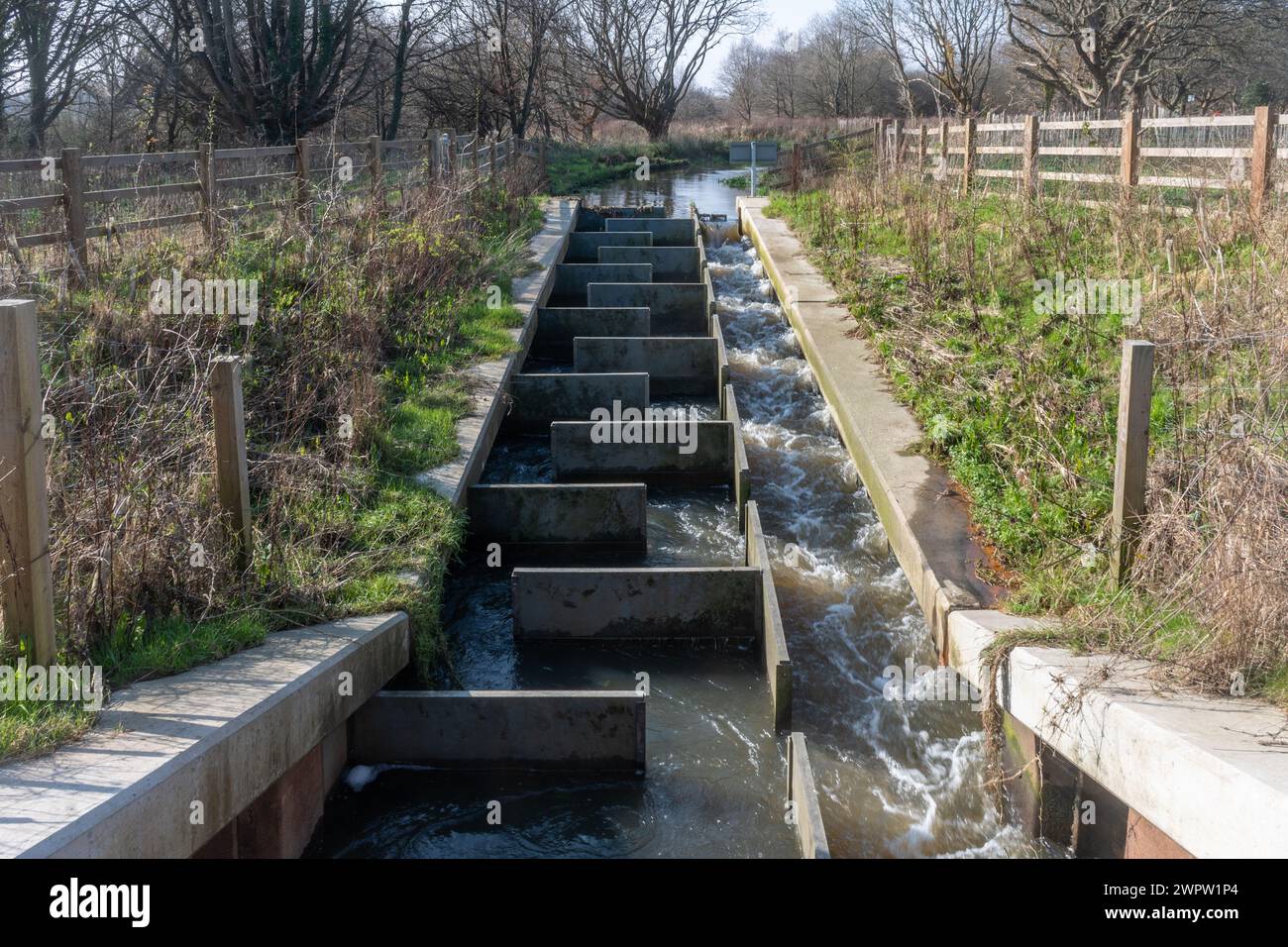 Fish bypass weir hi-res stock photography and images - Alamy