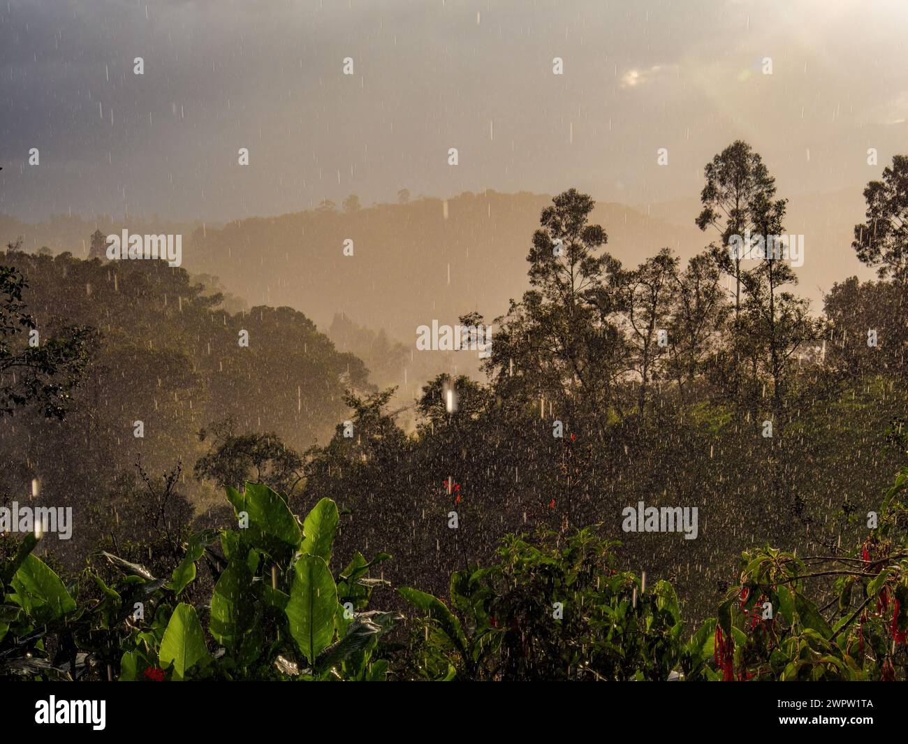 Colombia rainy season hi-res stock photography and images - Alamy