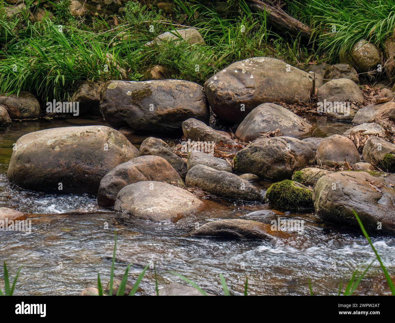The stream and the rocks at the bank in the La Colorada creek, in the ...