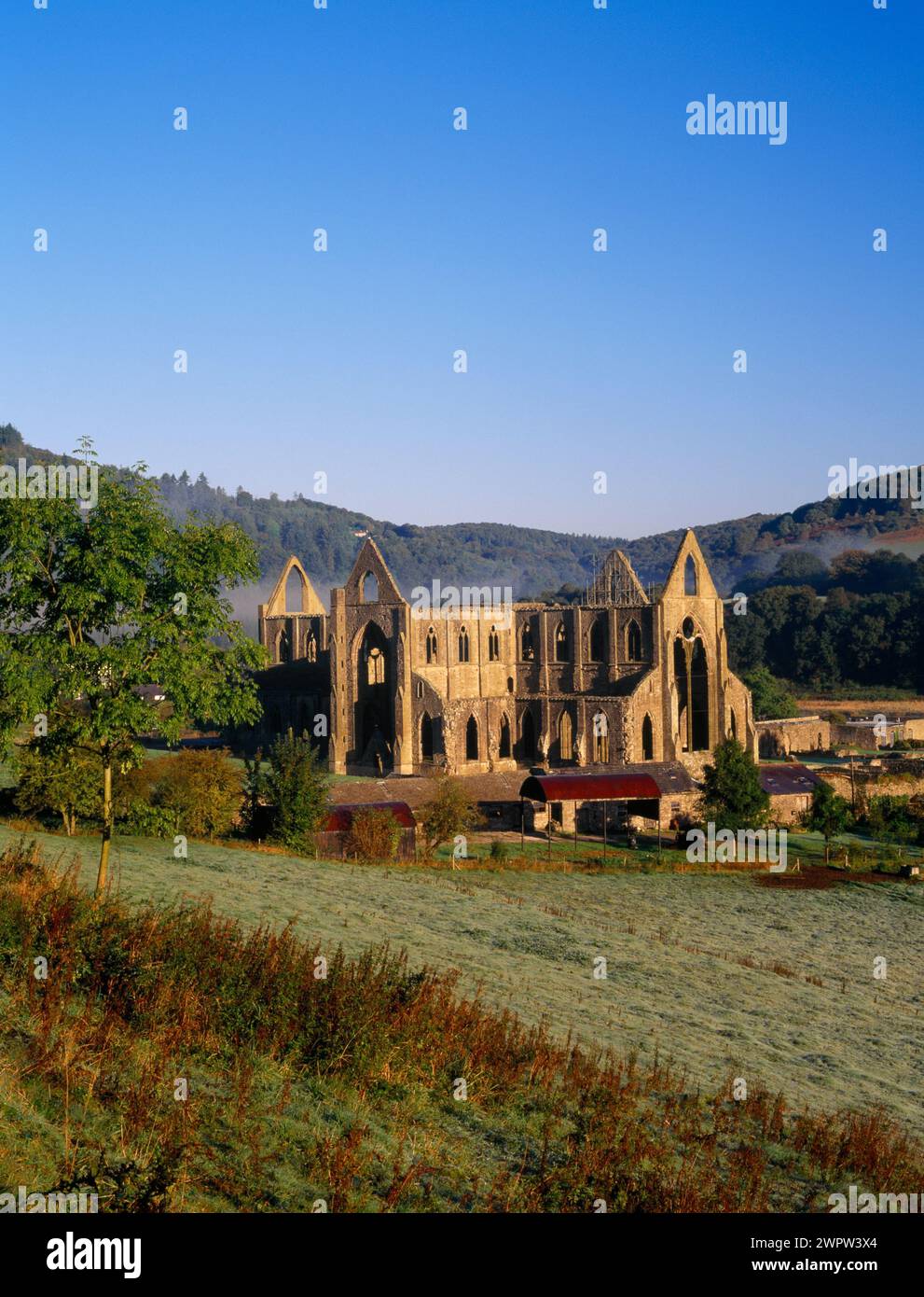 Tintern Abbey, Tintern Pava, Gwent, looking north west from road. Shows ...