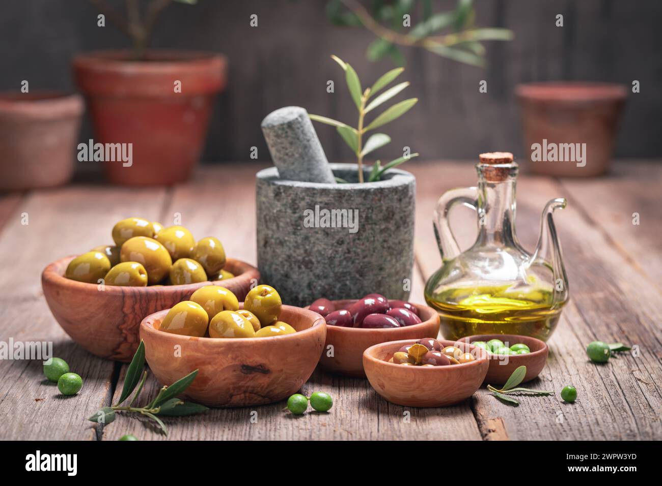 Raw and fresh olives harvested for preserves. Green olives preparation ...