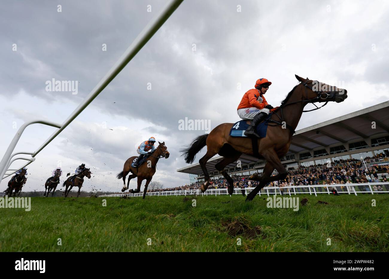 Winning british stallion studs ebf mares hi-res stock photography and ...