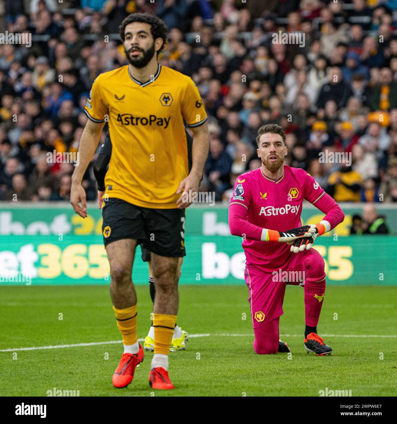 Ait nouri wolves 2024 hi-res stock photography and images - Alamy