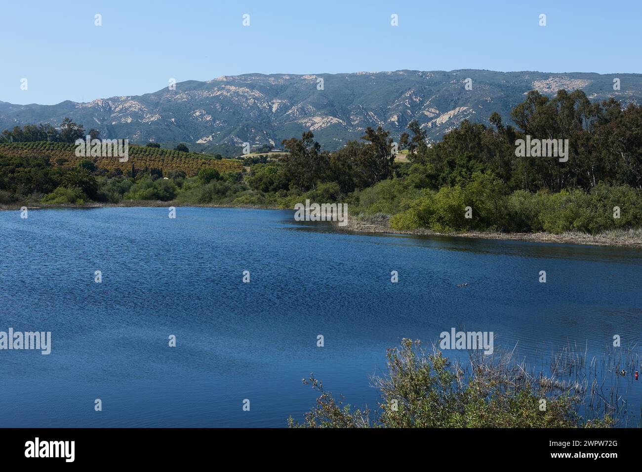 Lake Los Carneros Stock Photo - Alamy