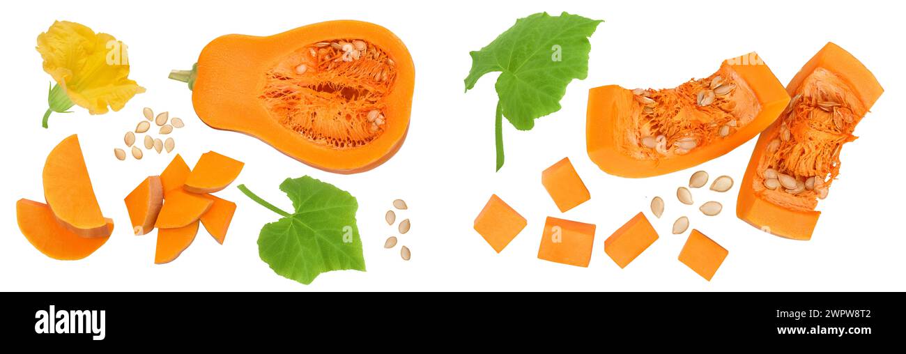 butternut squash half isolated on white background with full depth of ...